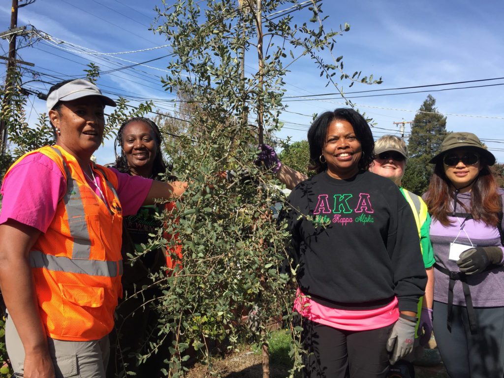 First-time tree planter and tree champion share their experience ...