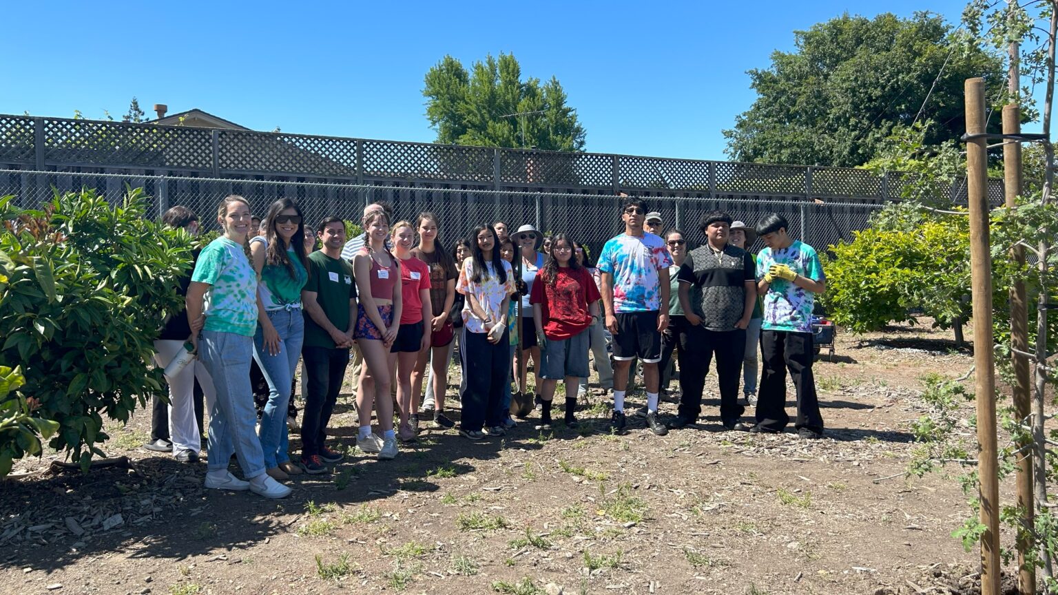 AVHS-Planting-Header - Canopy : Canopy