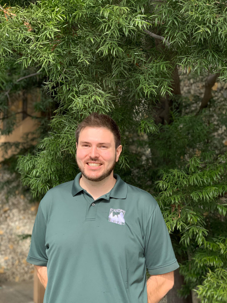 Past Tree Awards - Canopy : Canopy