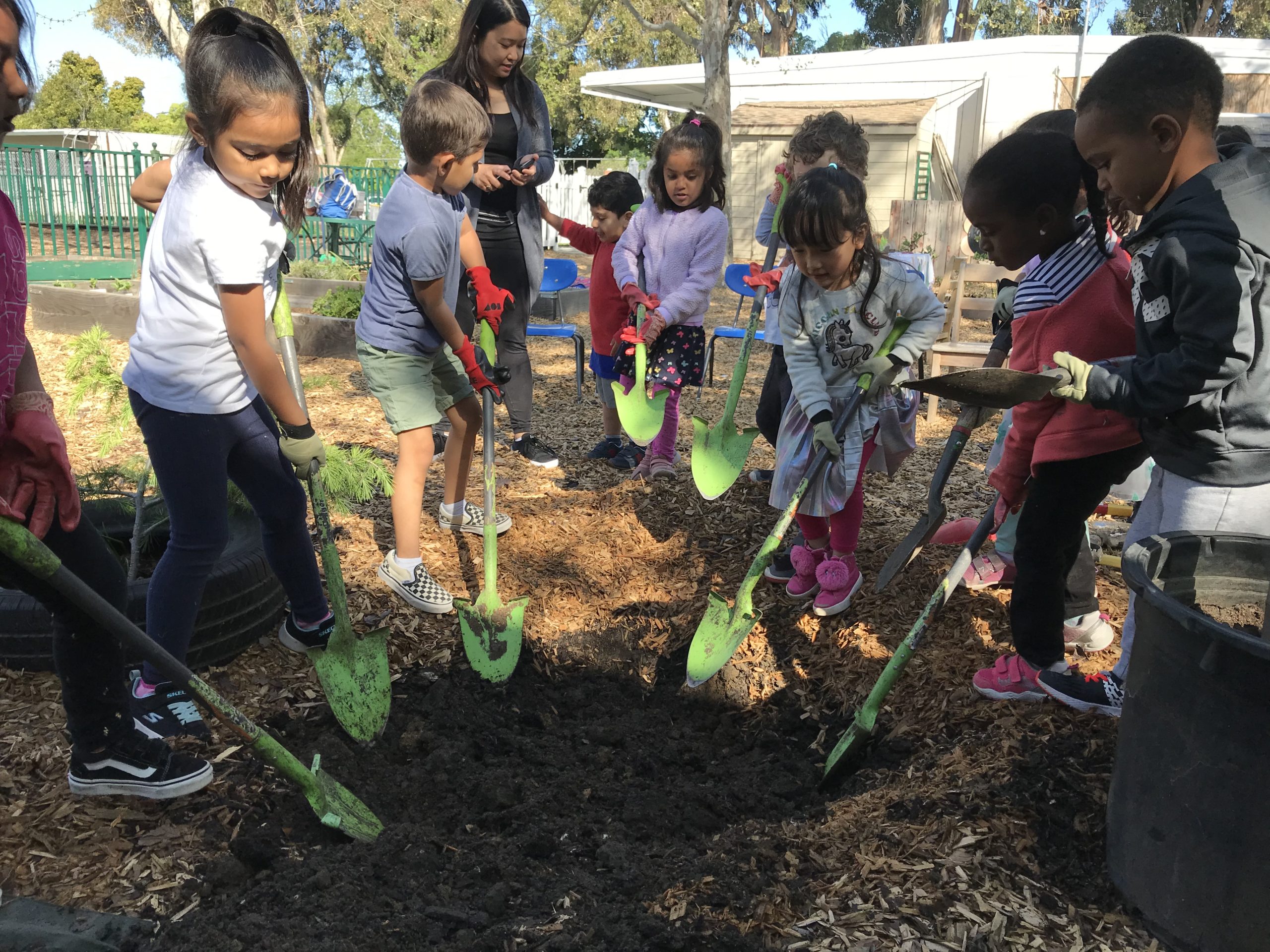 Nature Play Space for Preschool: TUF Project Update - Canopy : Canopy