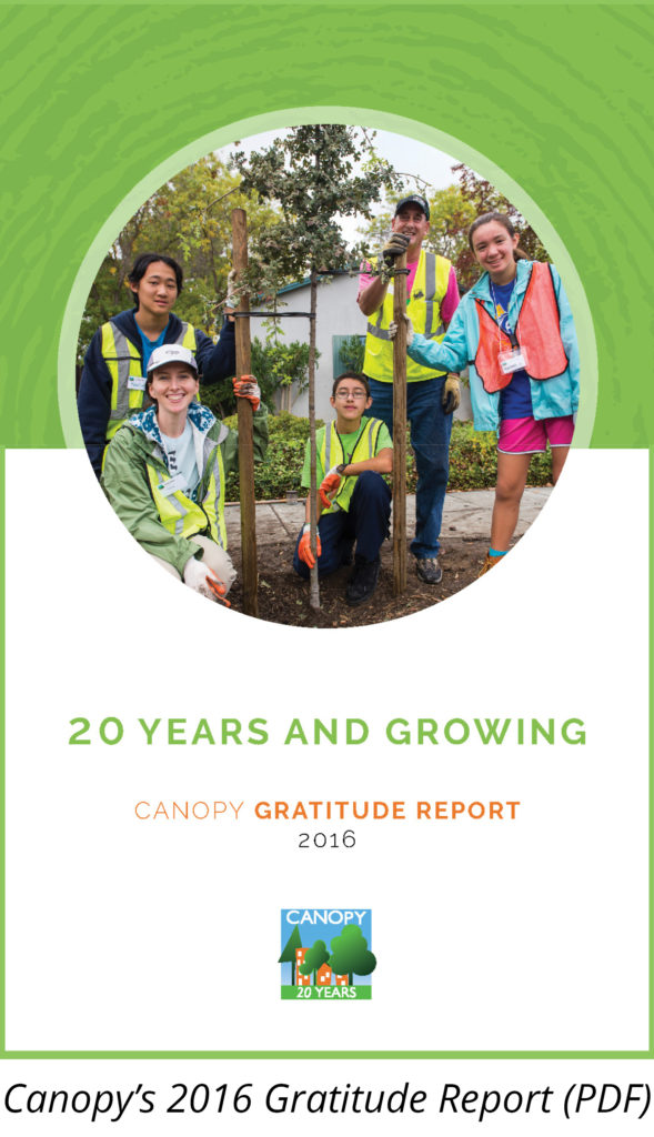 annual-report-cover-with-border-and-caption - Canopy : Canopy