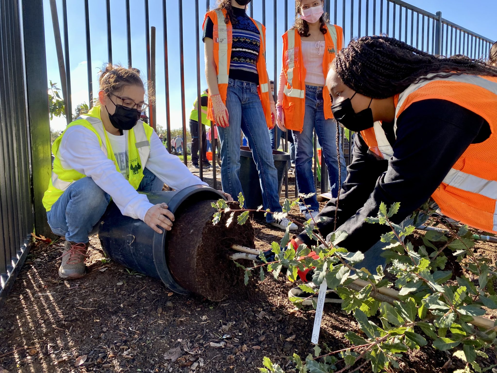 All Five: Planting a lifelong love of trees - Canopy : Canopy