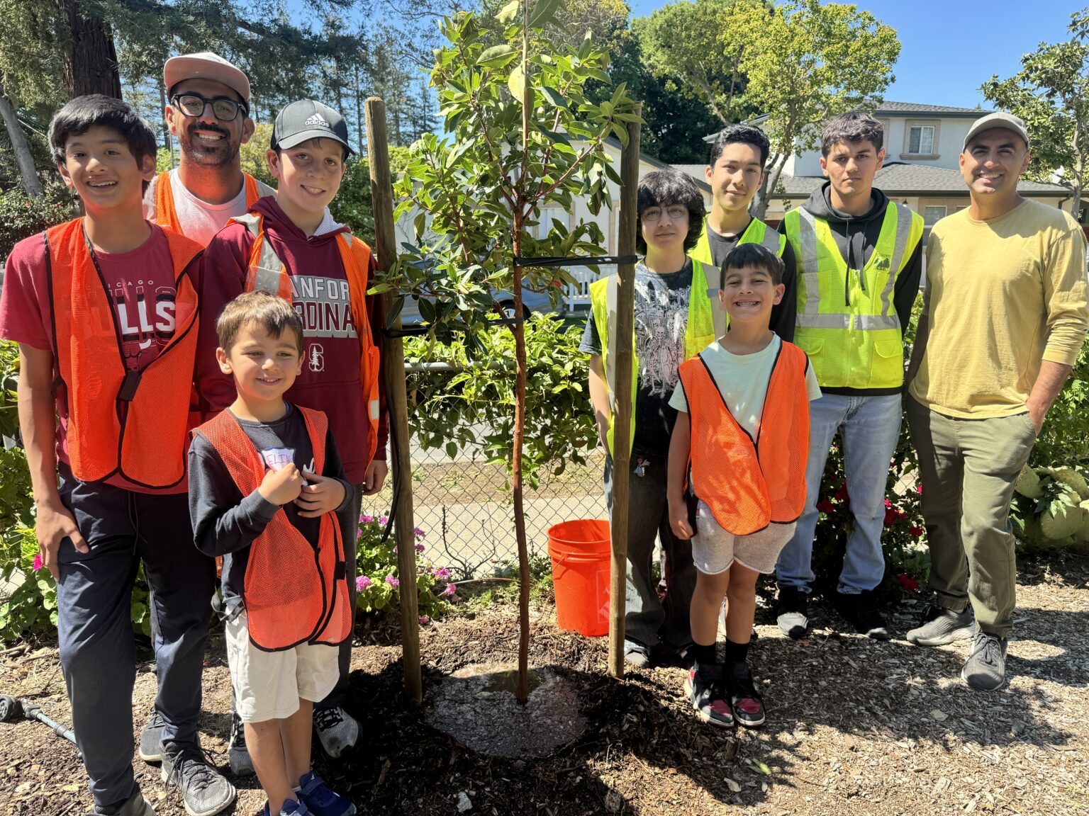 Canopy on the Radio: Discussing Community Building and Tree Planting on ...
