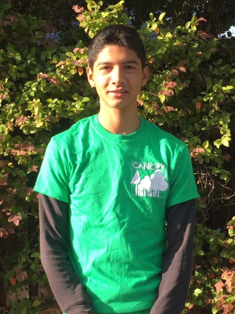 Jaime Ramirez - Canopy : Canopy