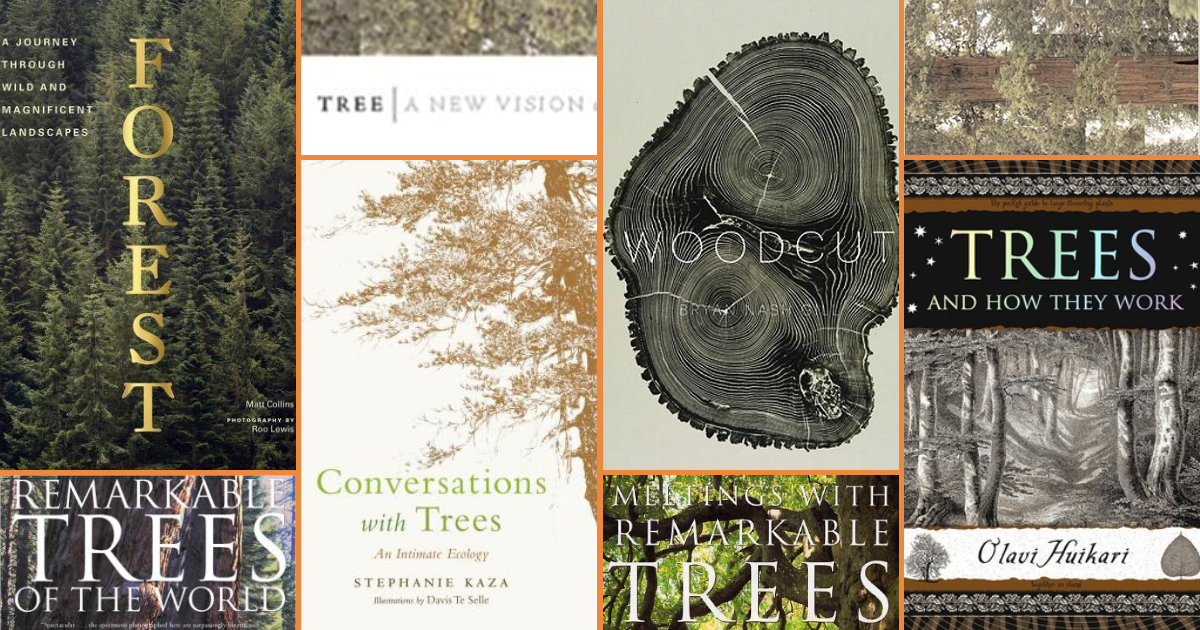 Canopy's ultimate reading list: Photo Books - Canopy : Canopy