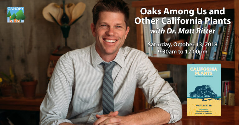 Matt Ritter 2018 - Canopy : Canopy