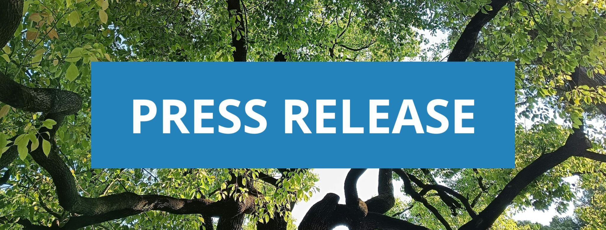Press Release Blog Featured Image - Canopy : Canopy