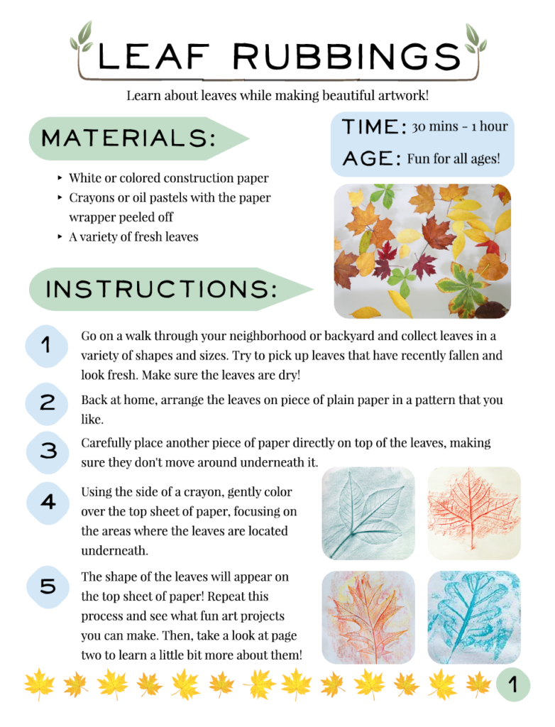 School Programs - Canopy : Canopy