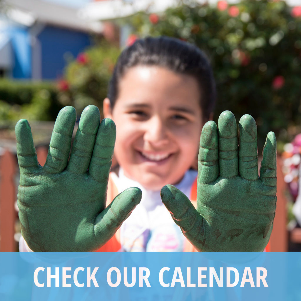 Get Involved - Canopy : Canopy