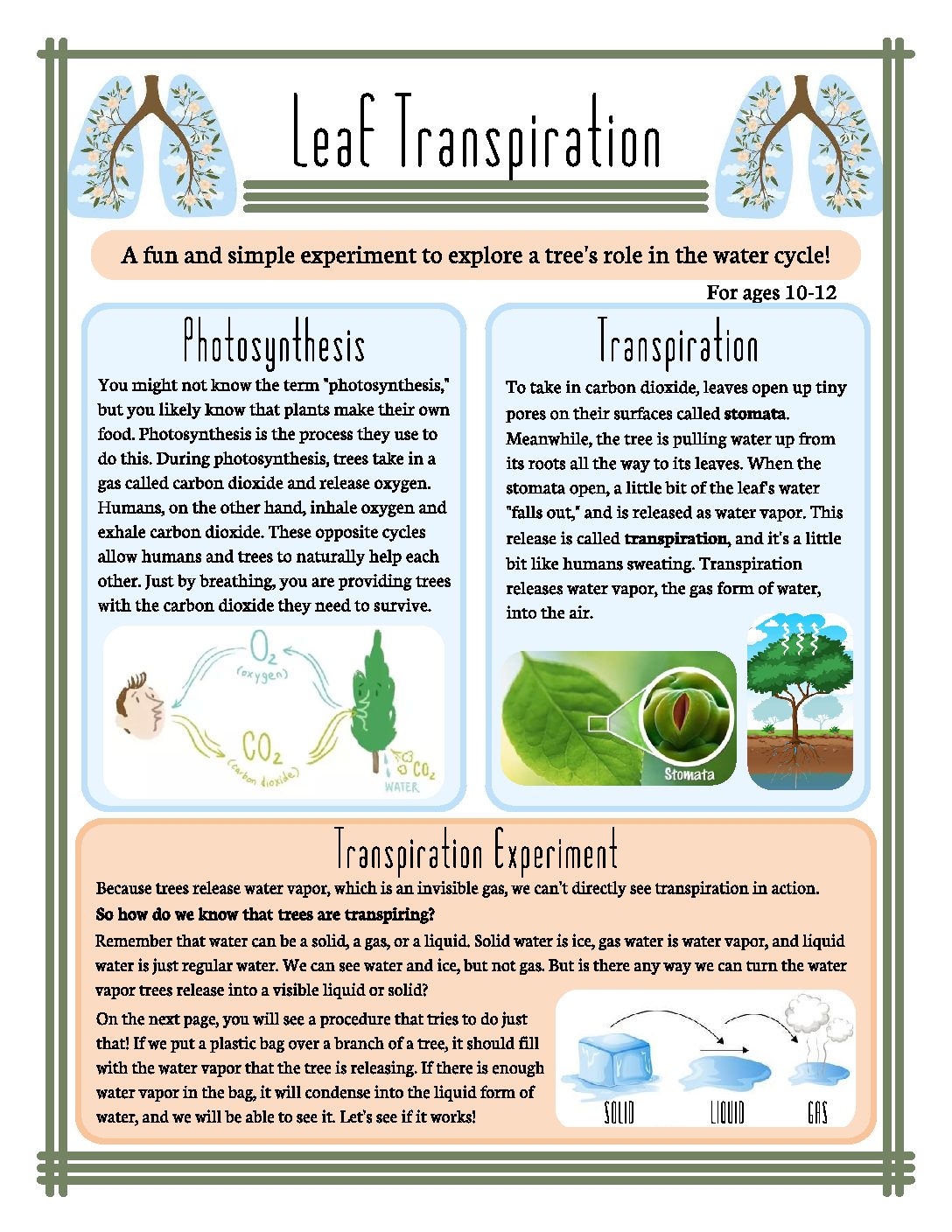 Transpiration Experiment Procedure