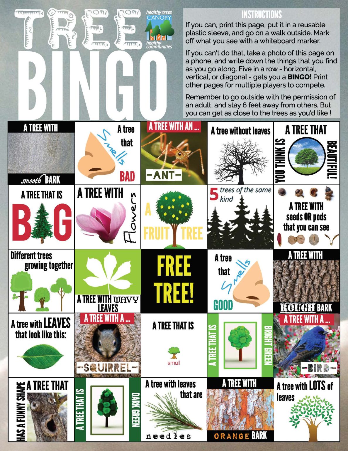 Canopy Tree Bingo - Canopy : Canopy