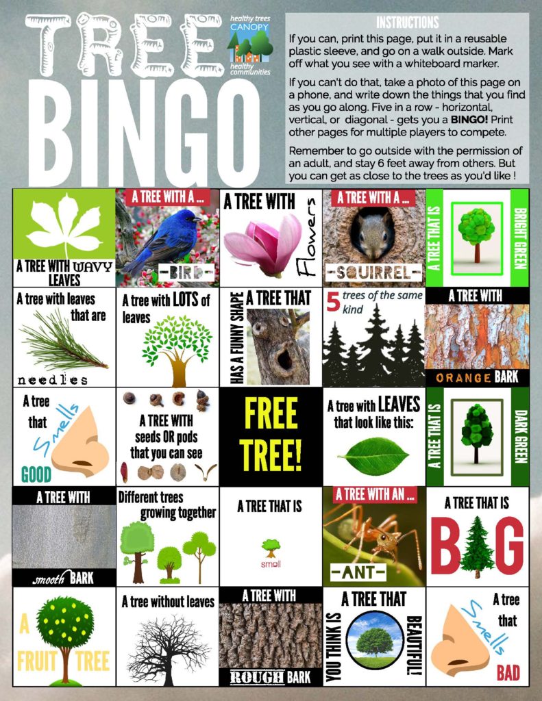 Canopy Tree Bingo - Canopy : Canopy