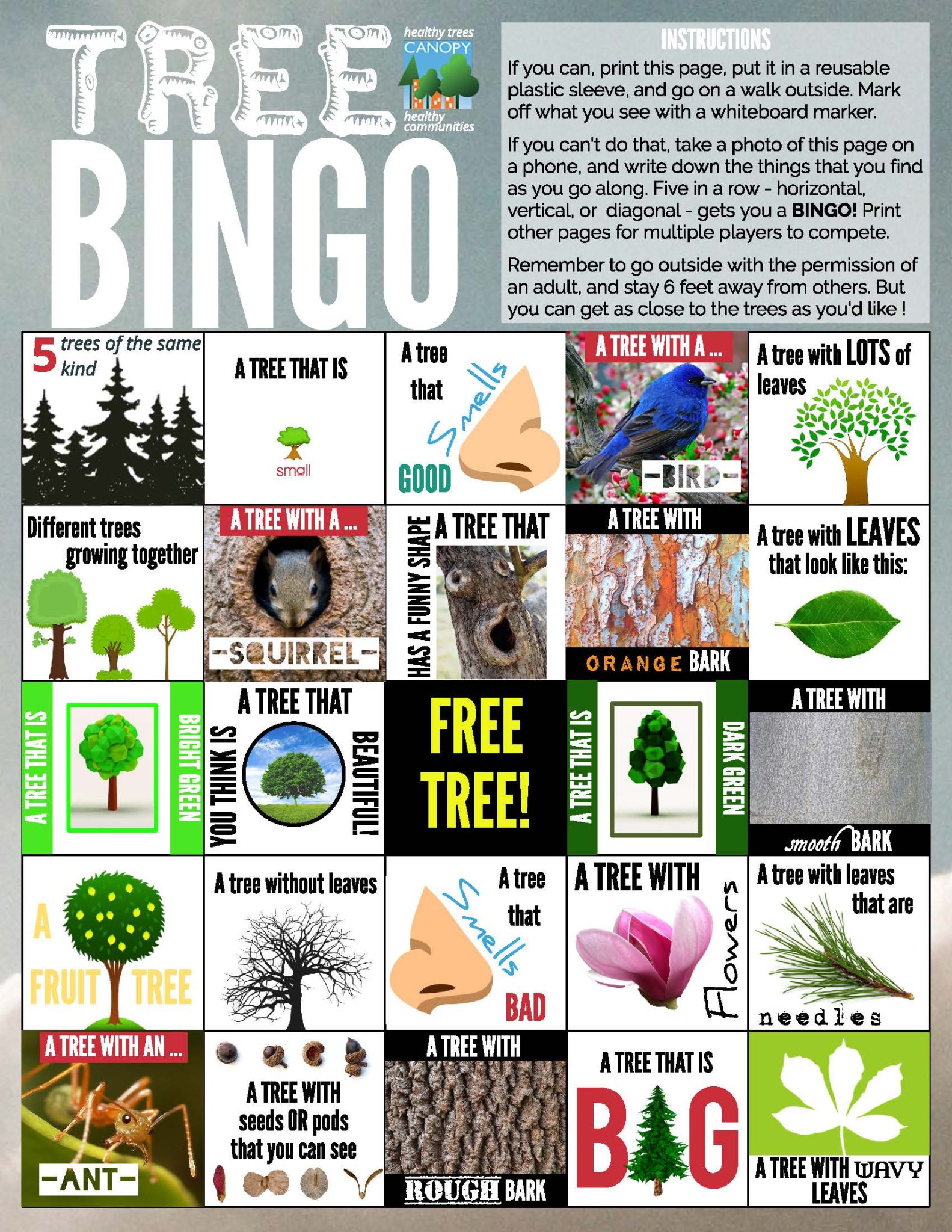 Canopy Tree Bingo - Canopy : Canopy