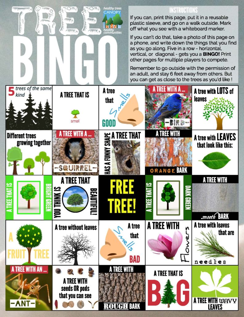 Canopy Tree Bingo - Canopy : Canopy