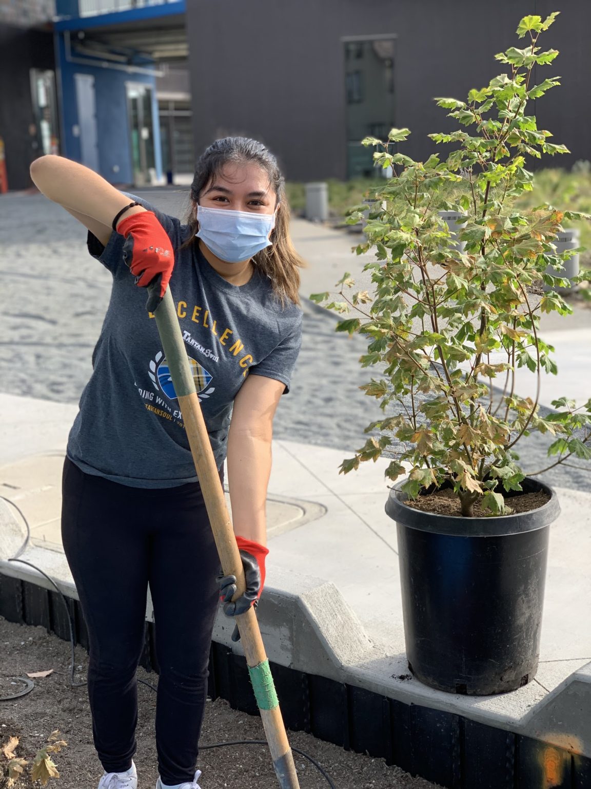 Celebrate Trees During California Arbor Week! - Canopy : Canopy